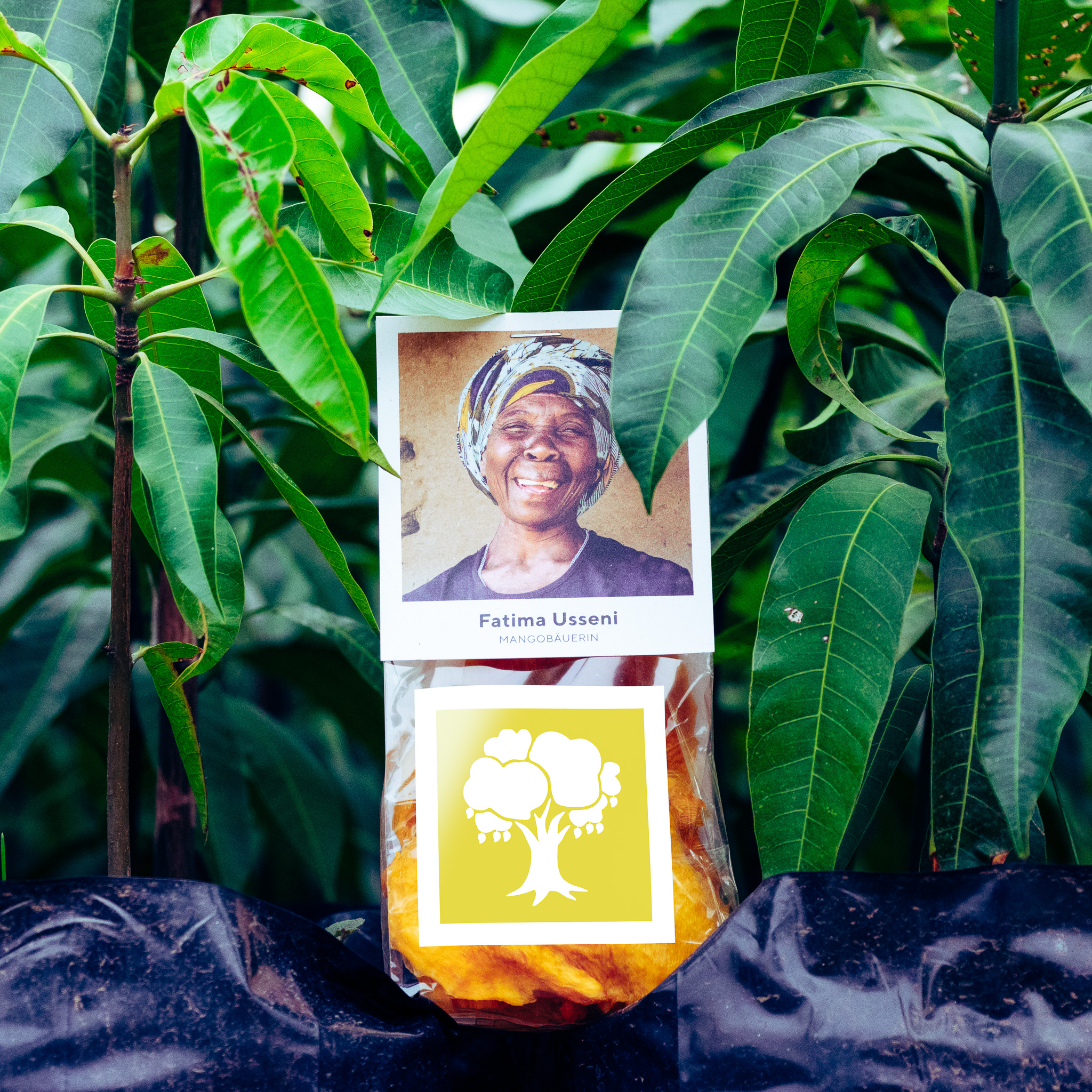 Zukunft – We Are Nyanja